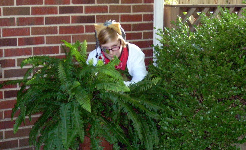 Reductress » 5 Best Bushes in NYC to Watch People Get Engaged