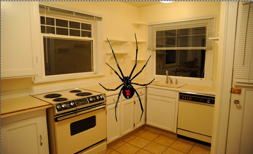 Reductress » How a Crushed Spider Smear Will Really Bring That Wall ...