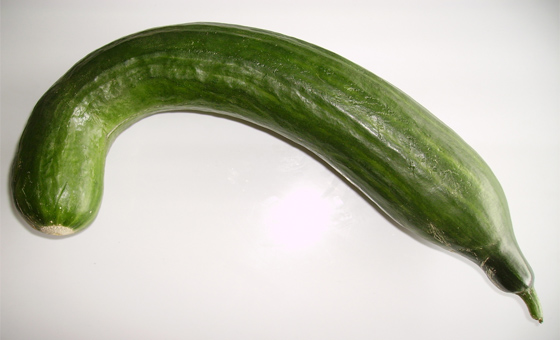 Reductress » 6 Cucumbers to Hold in Front of Your Crush