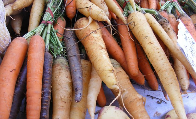 Reductress » Root Vegetables That Will Shrivel Up In Your Fridge