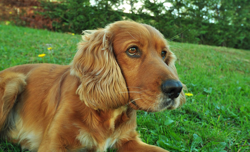 Reductress » How to Leave A One-Night Stand With Your Dignity And His ...