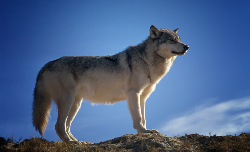 Reductress » 3 Things You Learn From Being Raised By A Strong ...