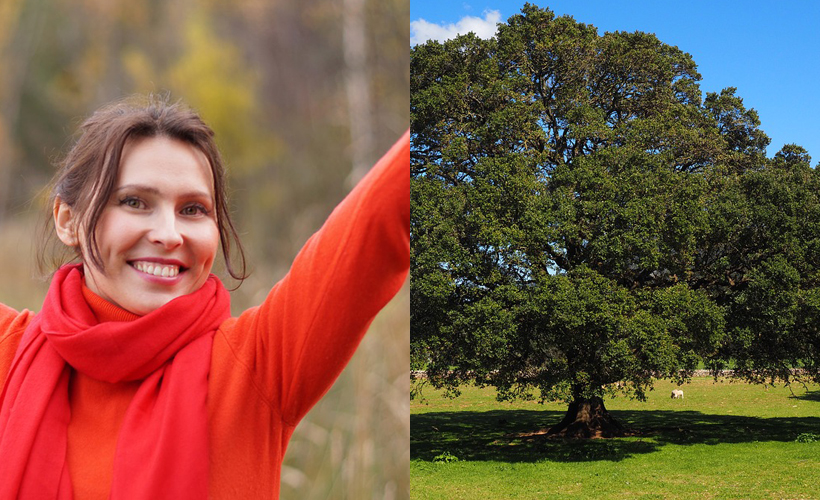 Reductress » How I Politely Rejected His Advances by Turning Into A ...