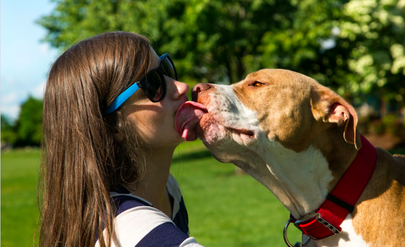Reductress » Cool! This Woman Will Let Her Dog Lick Her on the Mouth ...