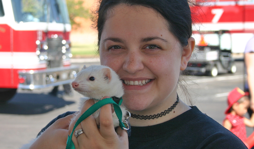 Women And Ferrets Just A Girl Who Loves Ferrets Ferret T Shirt